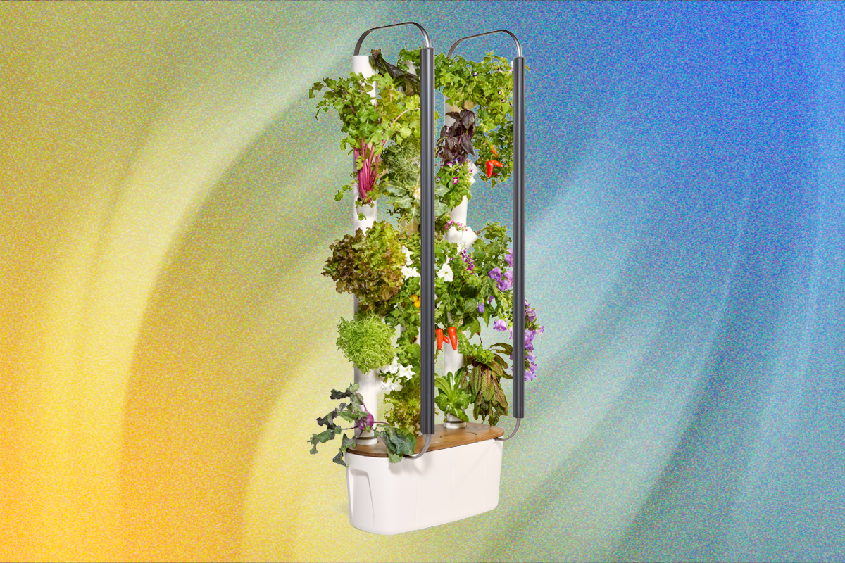 Gardyn Indoor Hydroponic Garden Review: Better Growing Through AI ...